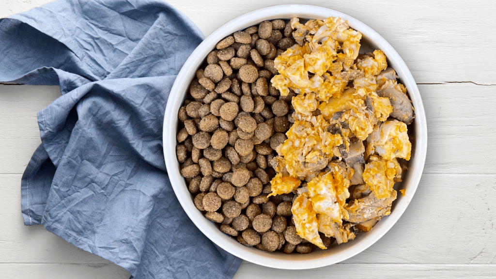 Start Here: Learn about Dog Nutrition - THE CANINE HEALTH NUT