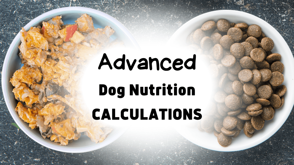 Advanced Dog Nutrition Calculations - THE CANINE HEALTH NUT